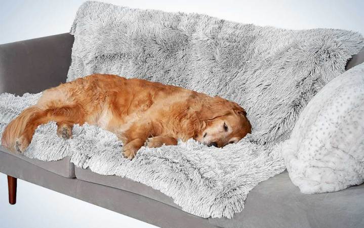 The best dog blankets to keep your pooch comfortable in 2024 | Popular ...