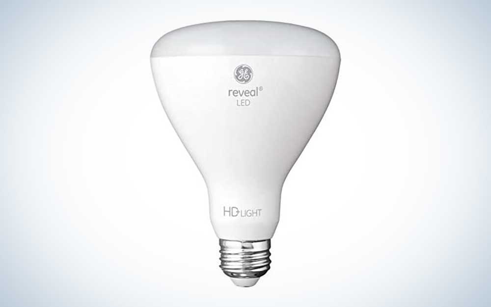 The best LED light bulbs | Popular Science