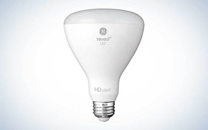 The best LED light bulbs for 2024 | Popular Science