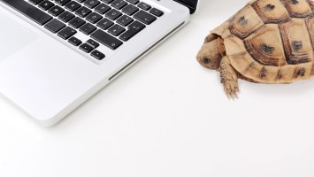 How to check if your computer is slowing down over time | Popular Science