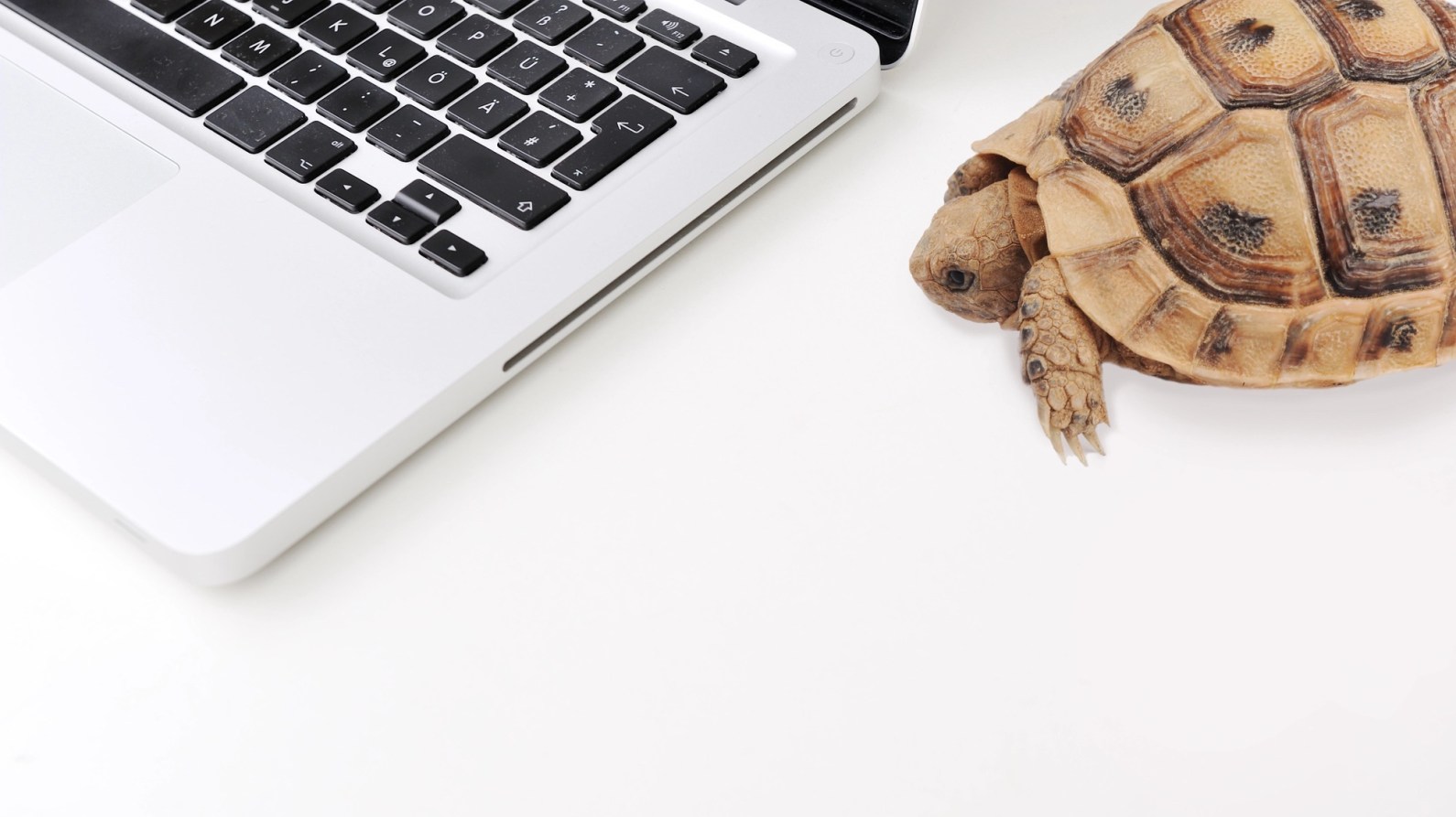 How to check if your computer is slowing down over time | Popular Science