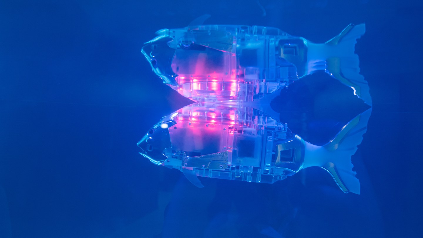 Get ready for the robotic fish revolution | Popular Science