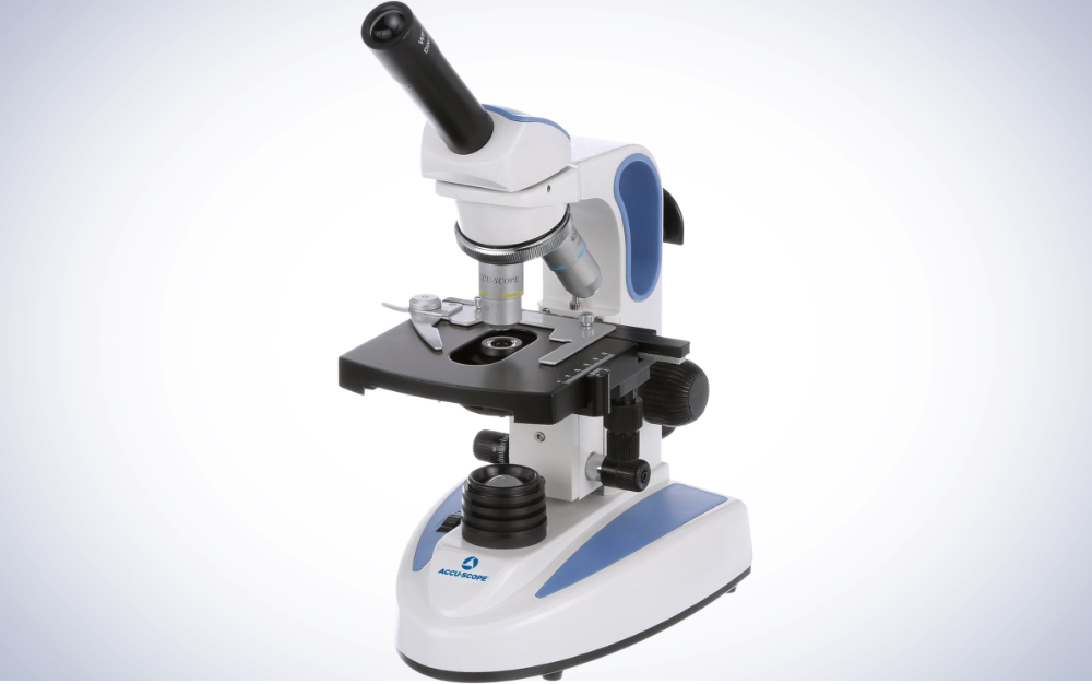 The best microscopes for students | Popular Science
