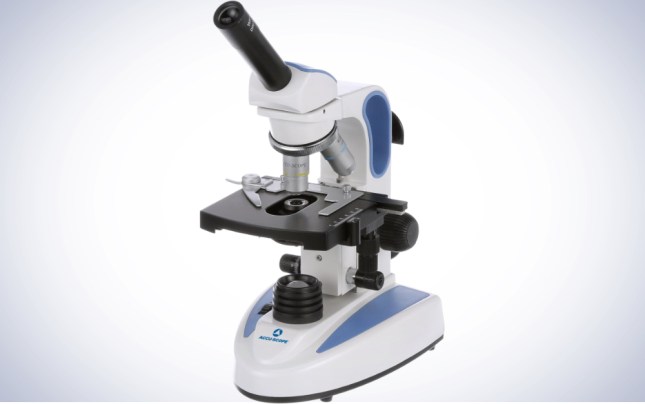 The best microscopes for students | Popular Science