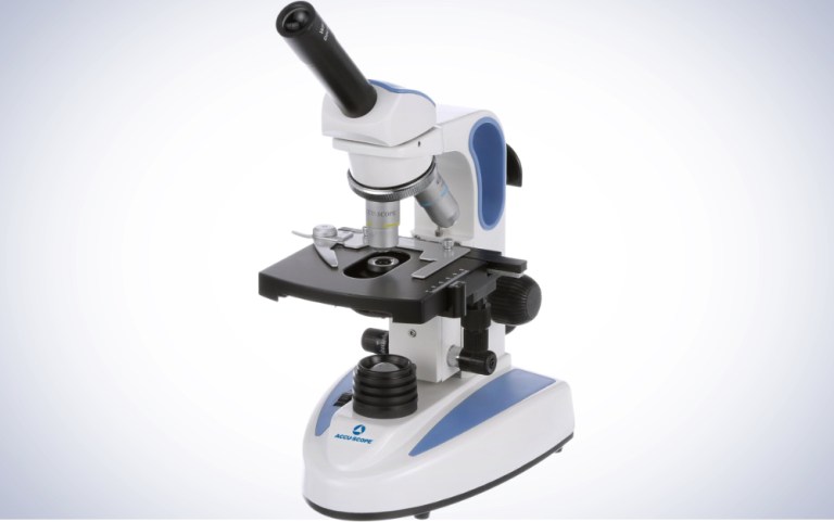 The best microscopes for students | Popular Science