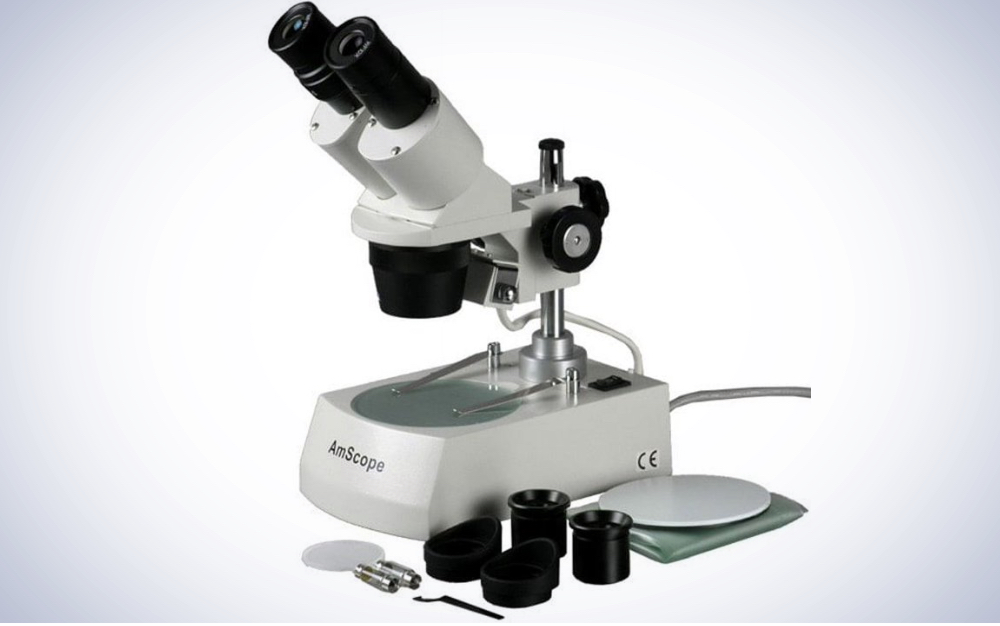 The best microscopes for students | Popular Science