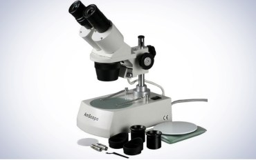 The best microscopes for students | Popular Science