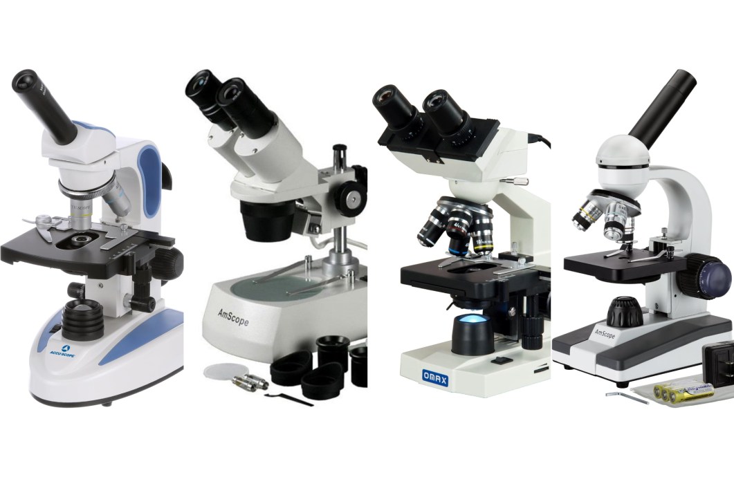 The best microscopes for students | Popular Science
