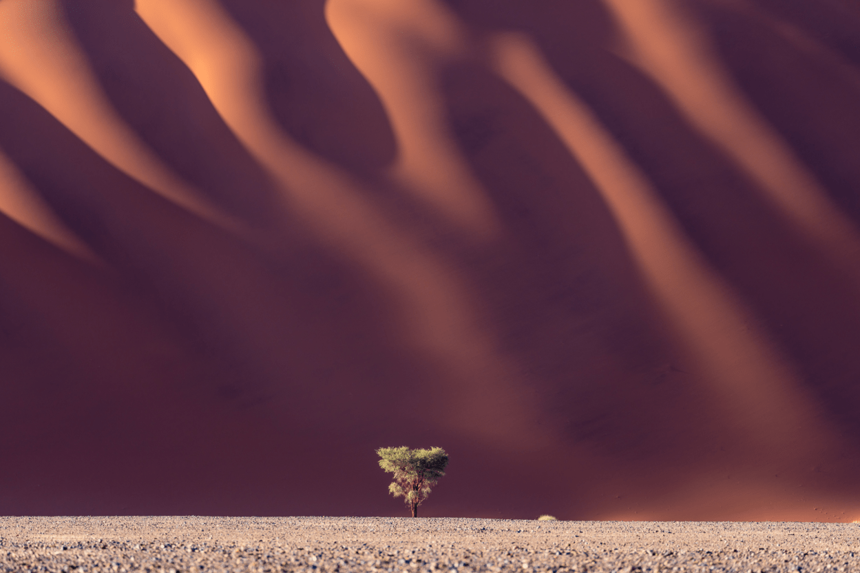12 awe-inspiring landscape photos showing off Earth's beauty | Popular ...
