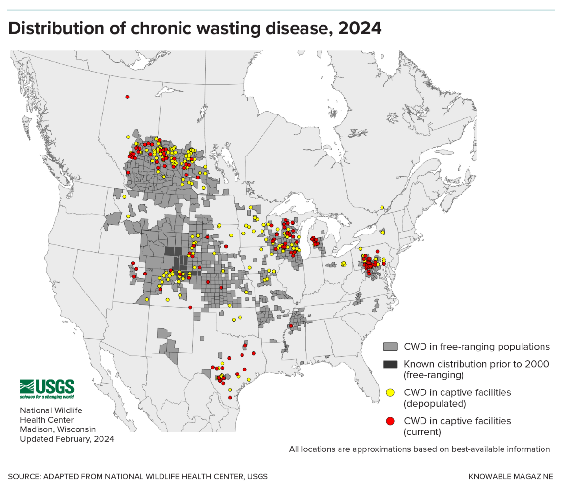 How to control chronic wasting disease | Popular Science