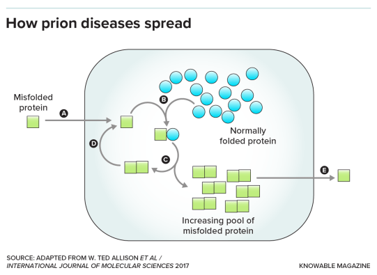 How to control chronic wasting disease | Popular Science