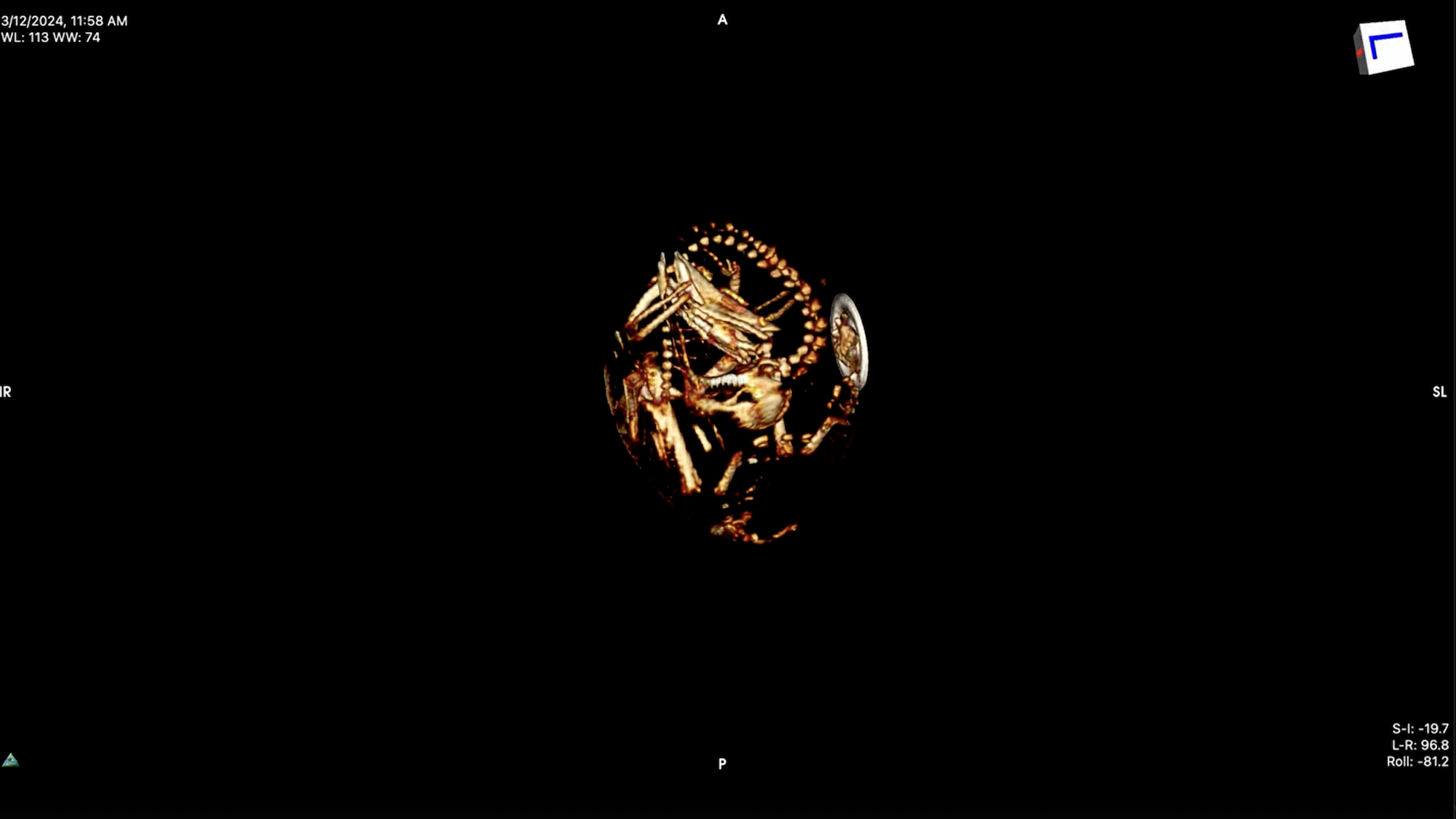 CT scans look inside a California condor egg | Popular Science