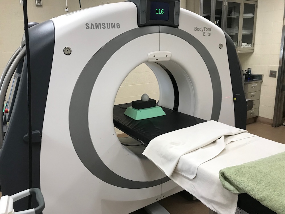CT scans look inside a California condor egg | Popular Science