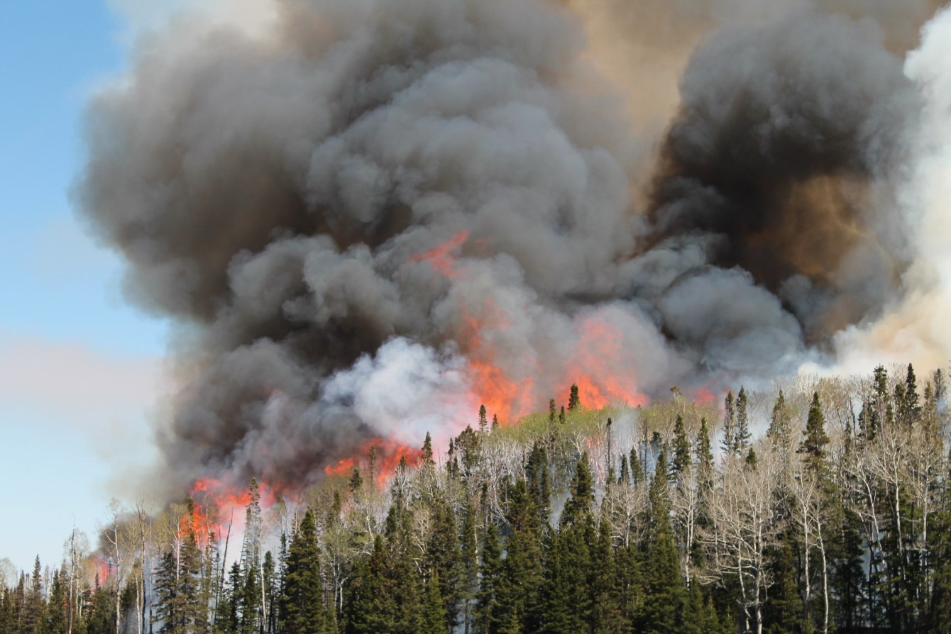How YOU can prevent wildfires | Popular Science