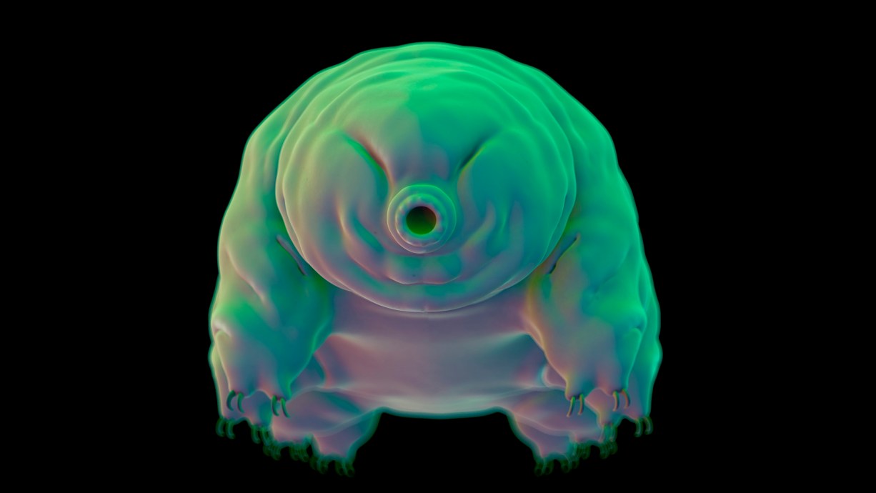How super resilient tardigrades can fix their radiation-damaged DNA ...