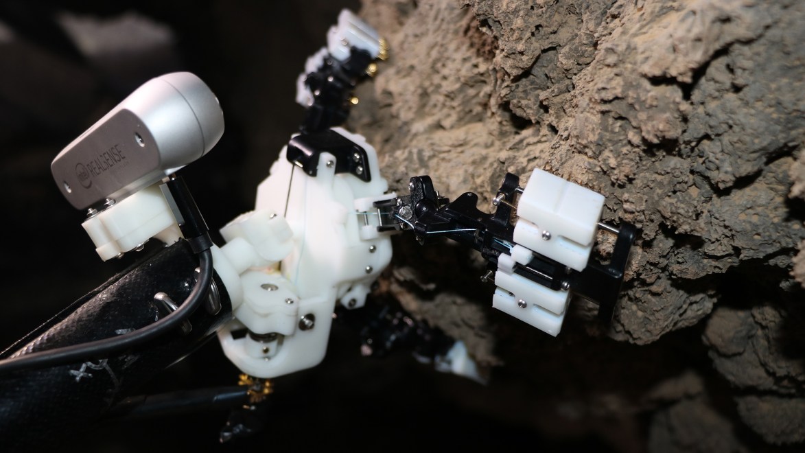 Daddy long-legs-inspired robot could one day squirm through Martian ...