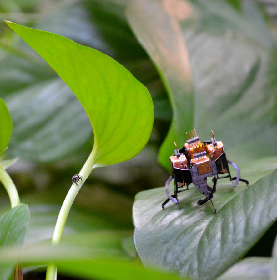 Why animals run faster than their robot doppelgängers... for now ...