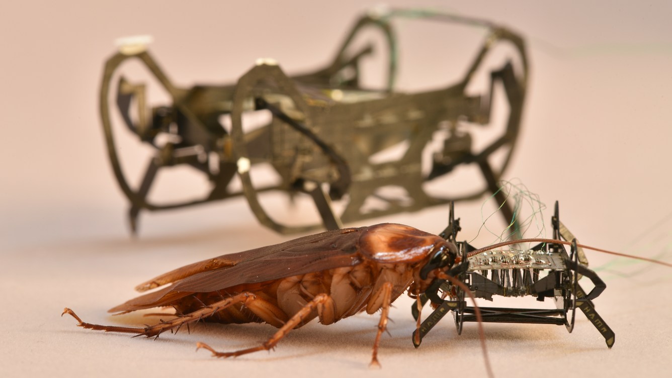 Why animals run faster than their robot doppelgängers... for now ...