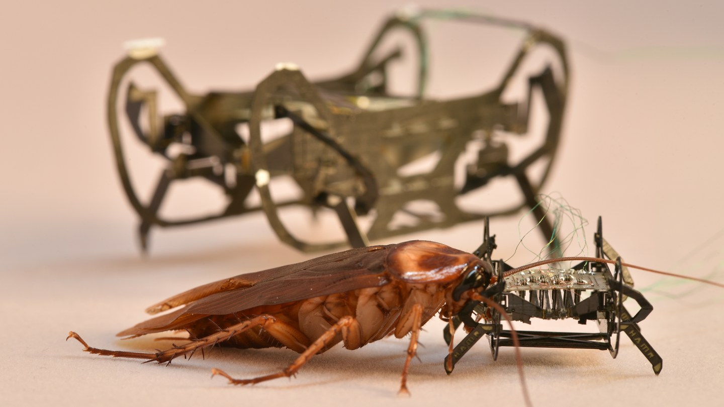 Why animals run faster than their robot doppelgängers... for now ...