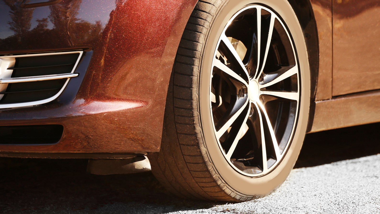 Tire toxicity faces fresh scrutiny after salmon die-offs | Popular Science