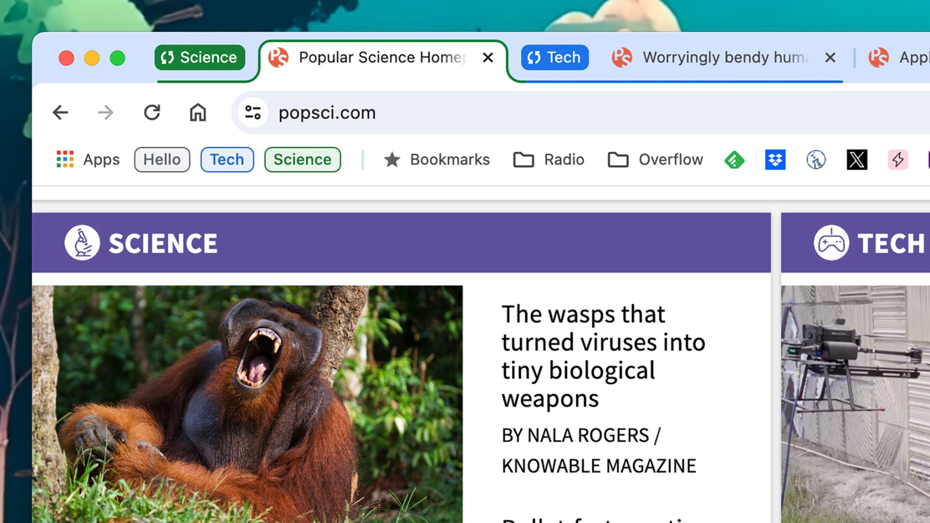 How to group tabs in Google Chrome (and free yourself from browser ...
