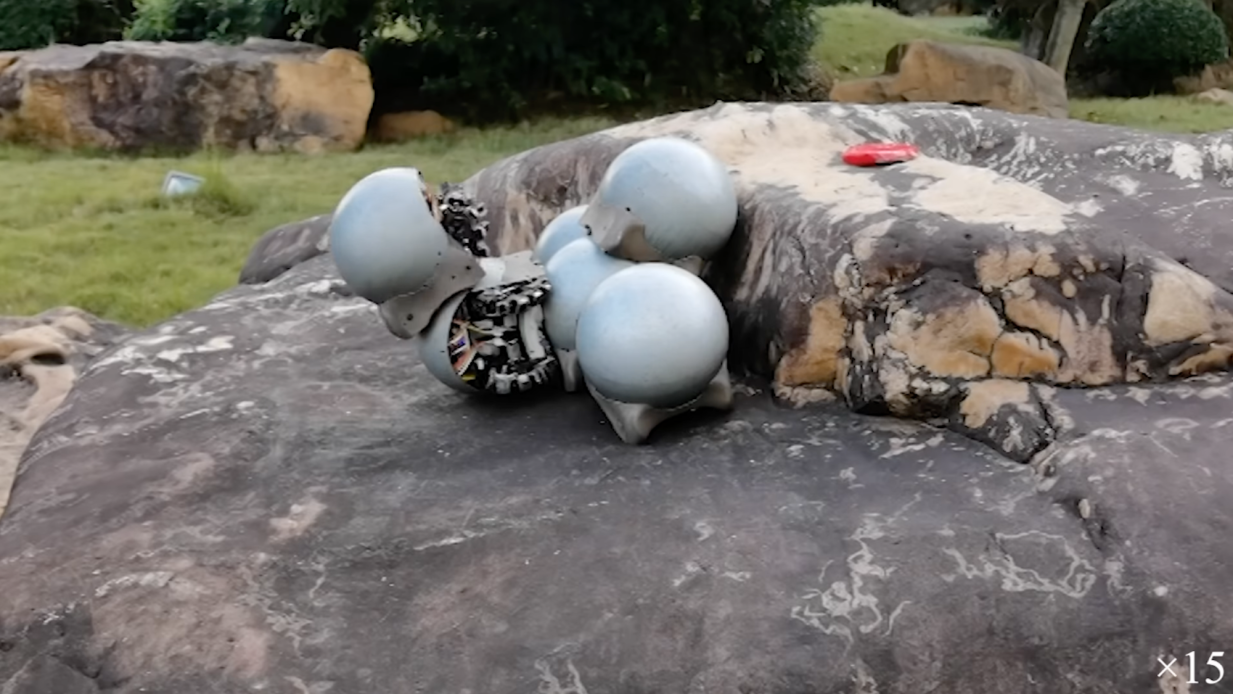 Swarm of tiny snail robots stick together to form new structures | Popular Science