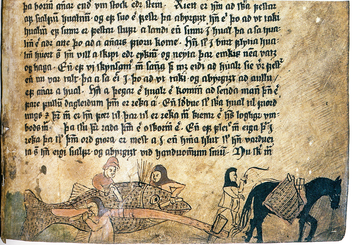 How Viking-age hunters took down the biggest animal on Earth | Popular ...