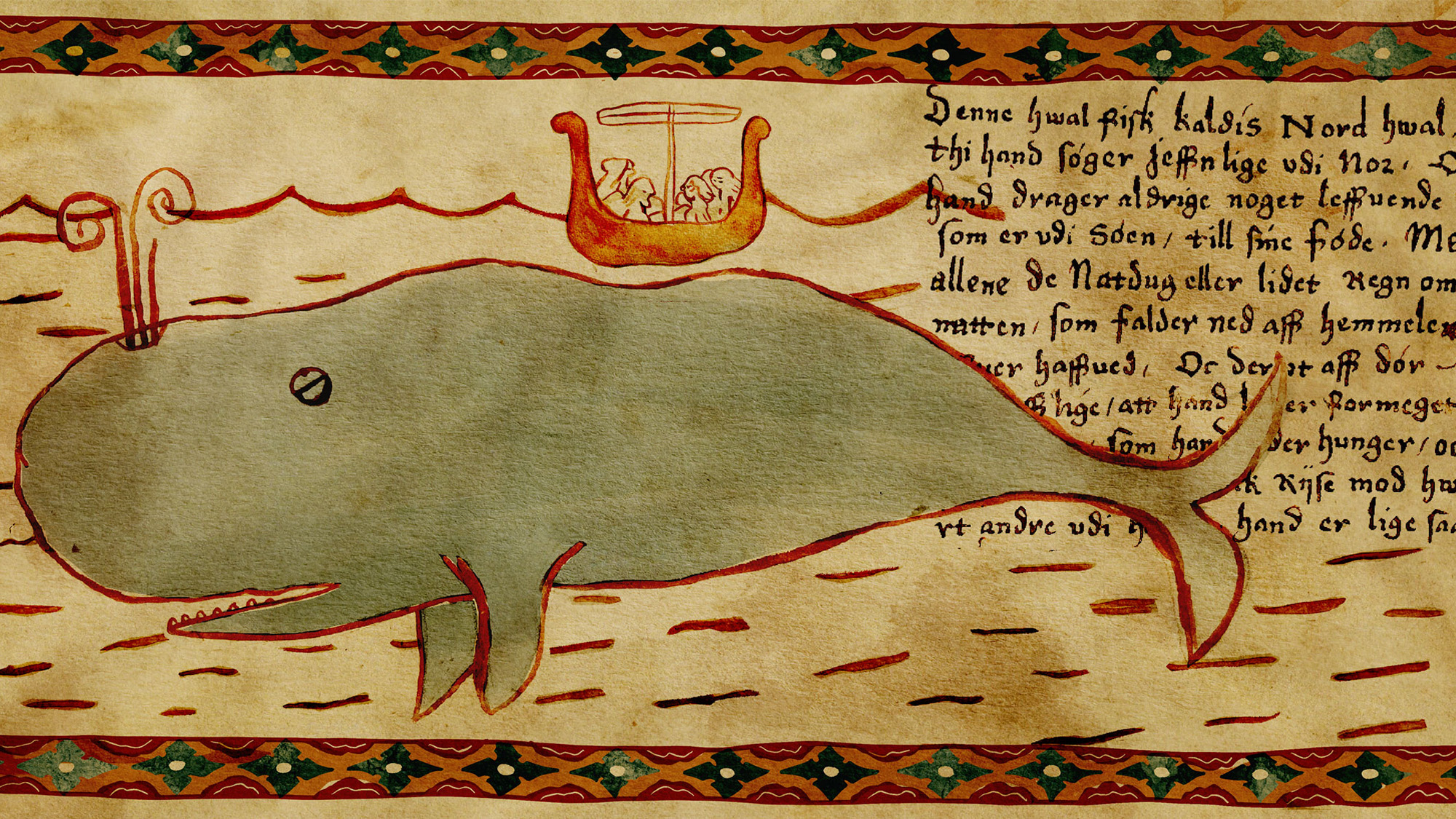 How Viking-age hunters took down the biggest animal on Earth | Popular ...