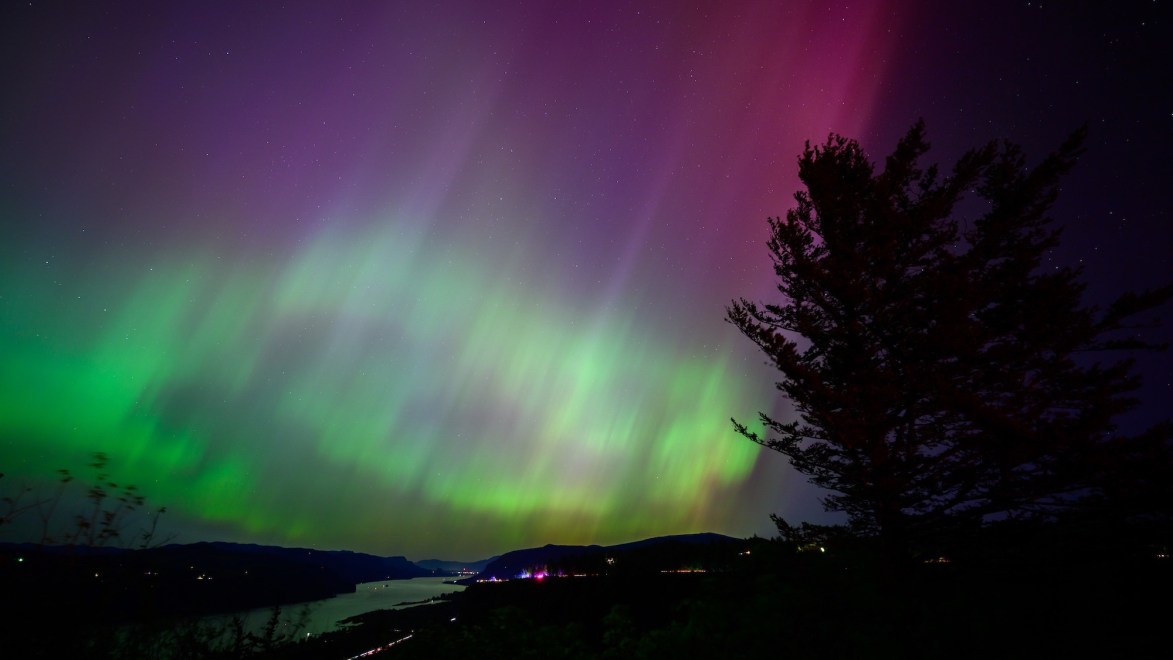 Have you seen Steve? Look up and you might spot the sky phenomenon ...