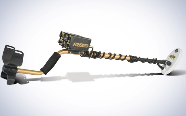 The best metal detectors for gold | Popular Science