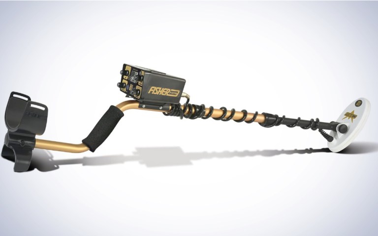 The best metal detectors for gold | Popular Science