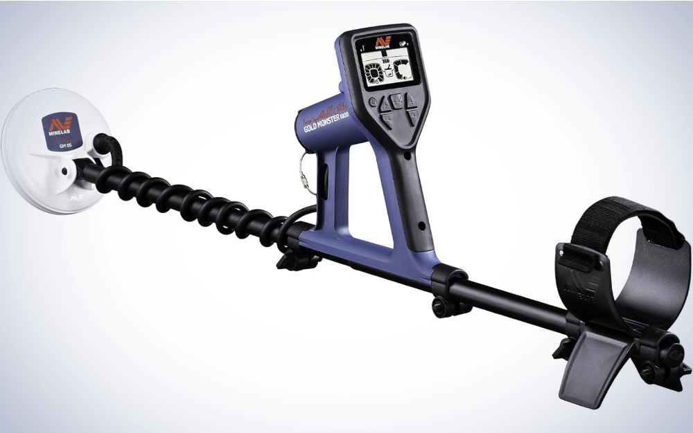 The best metal detectors for gold | Popular Science