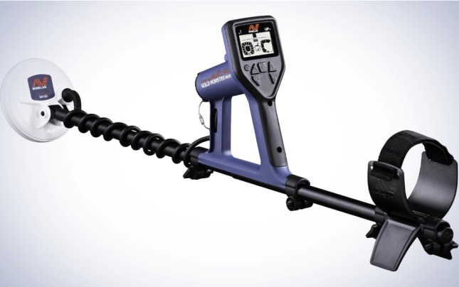 The best metal detectors for gold | Popular Science