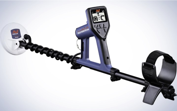 The best metal detectors for gold | Popular Science