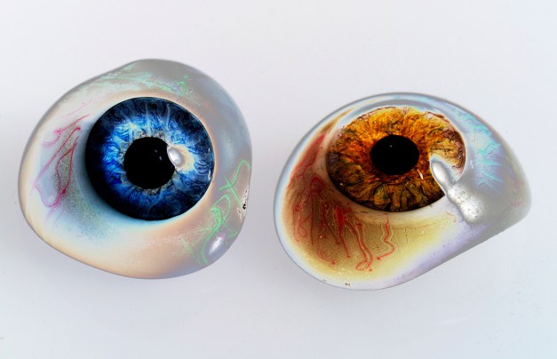 The quest to craft the perfect artificial eye, through the ages ...