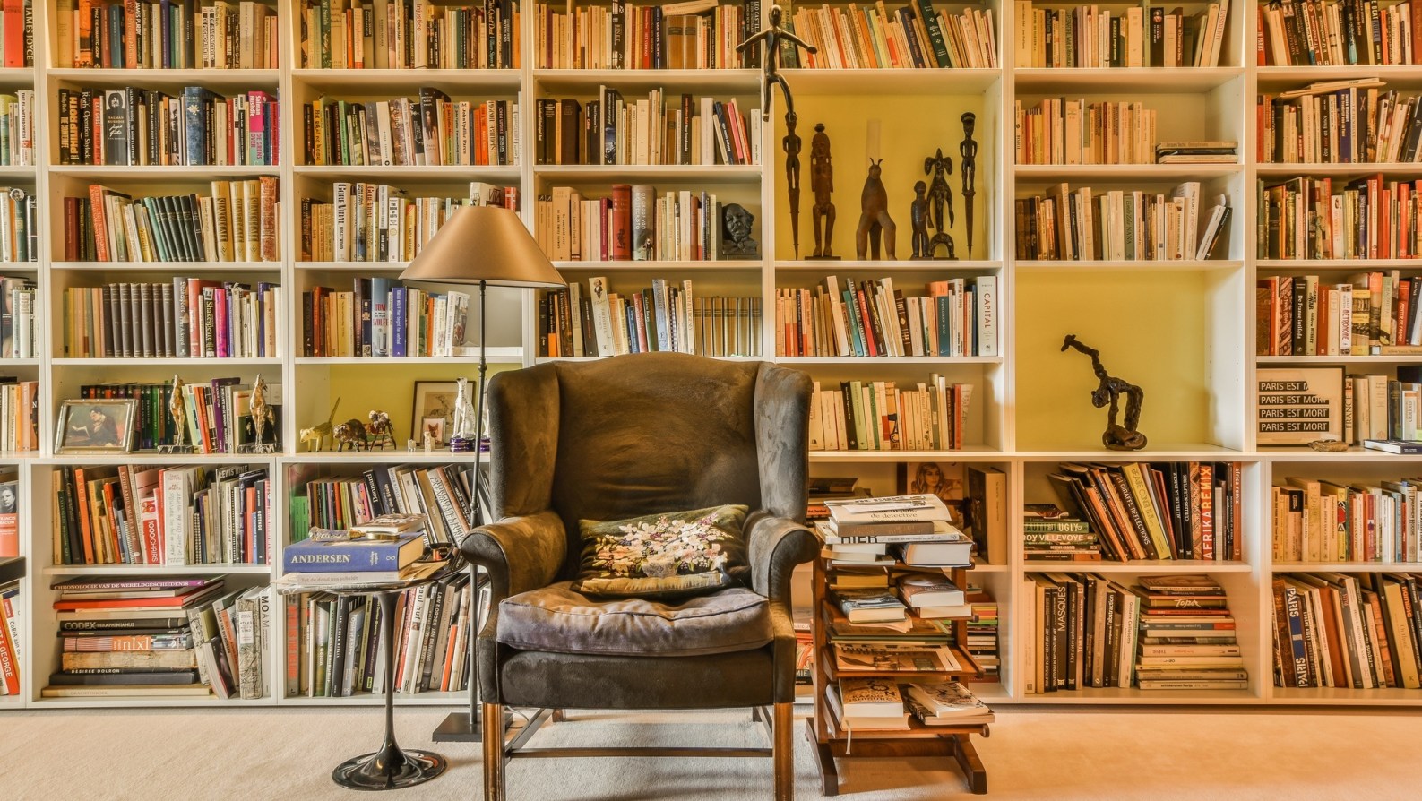 How to protect your books long term | Popular Science