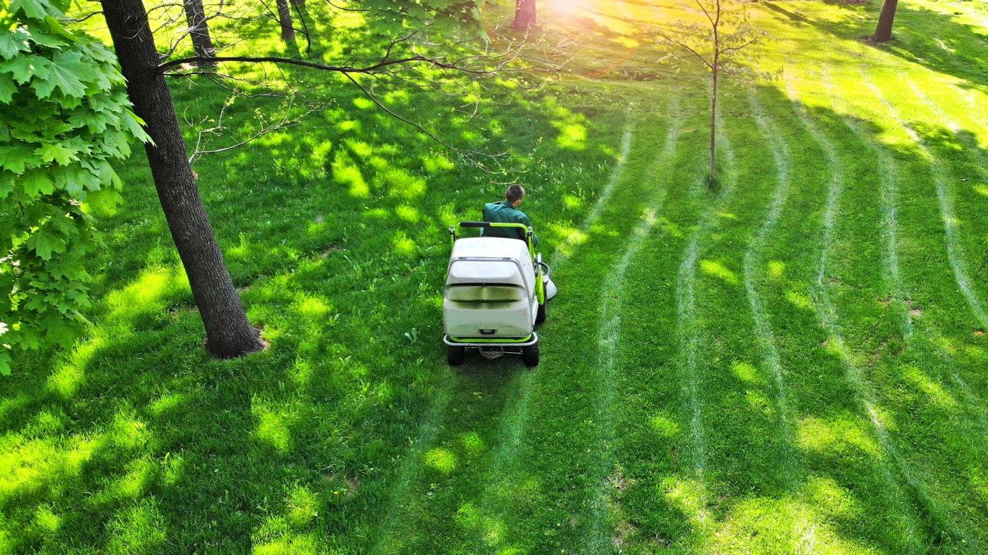 There’s little science behind ‘No Mow May’ | Popular Science