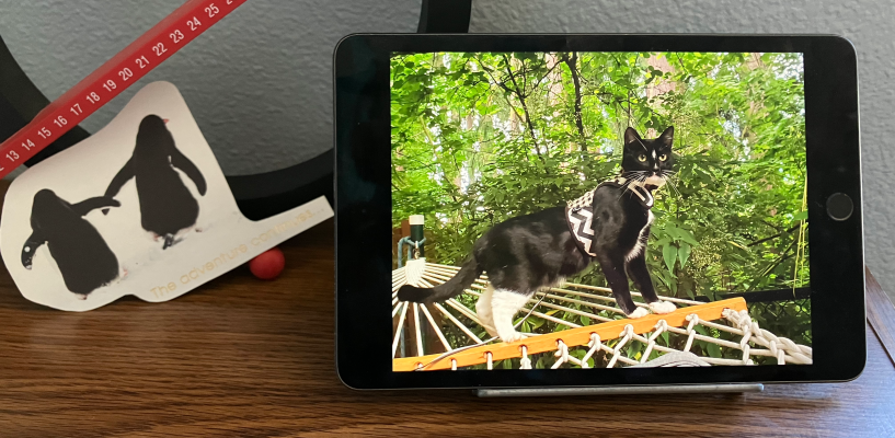 Turn your old iPad into a digital picture frame | Popular Science