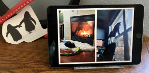 Turn your old iPad into a digital picture frame | Popular Science