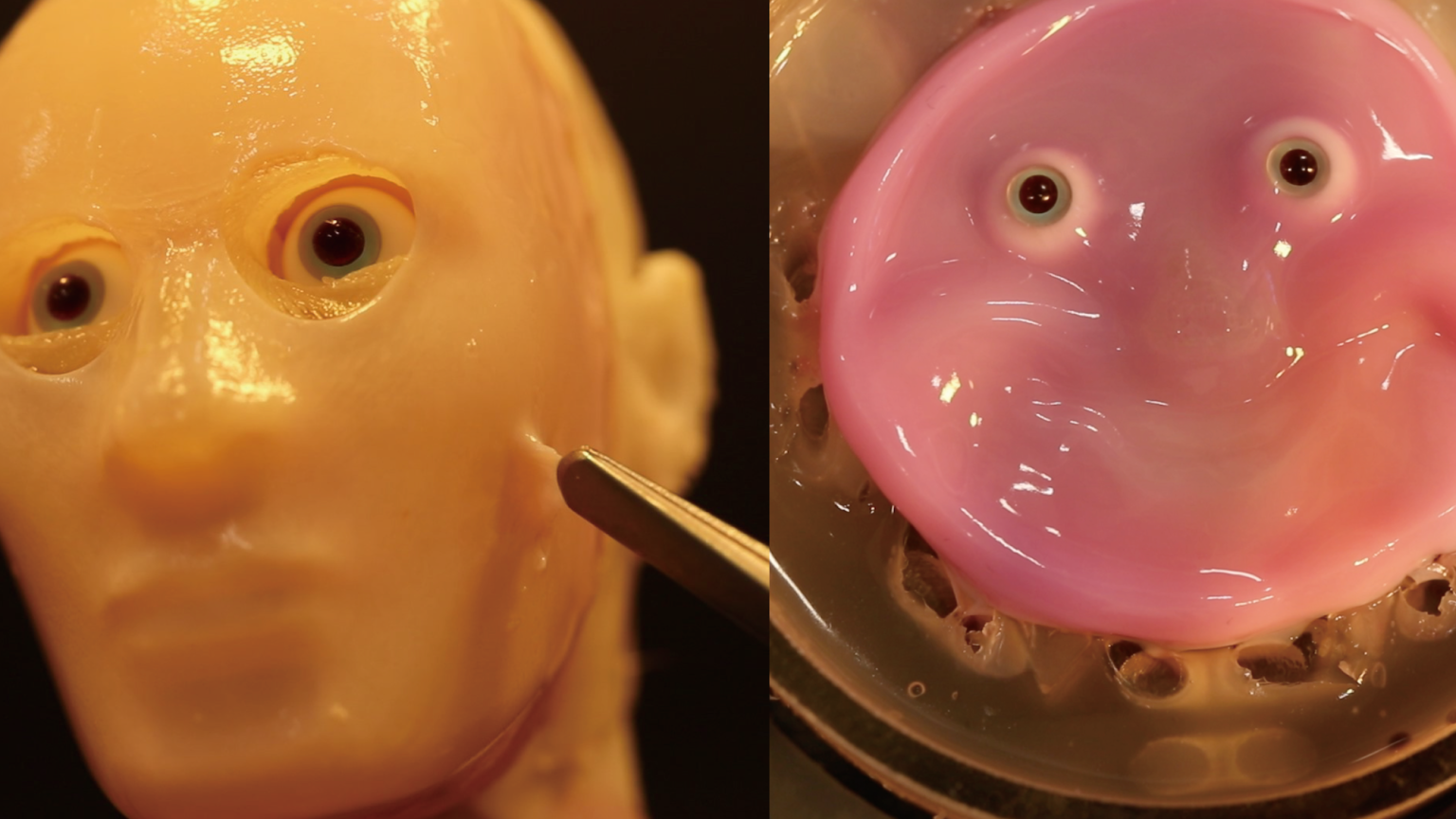 Lab-grown, self-healing human skin designed to cover robot faces ...