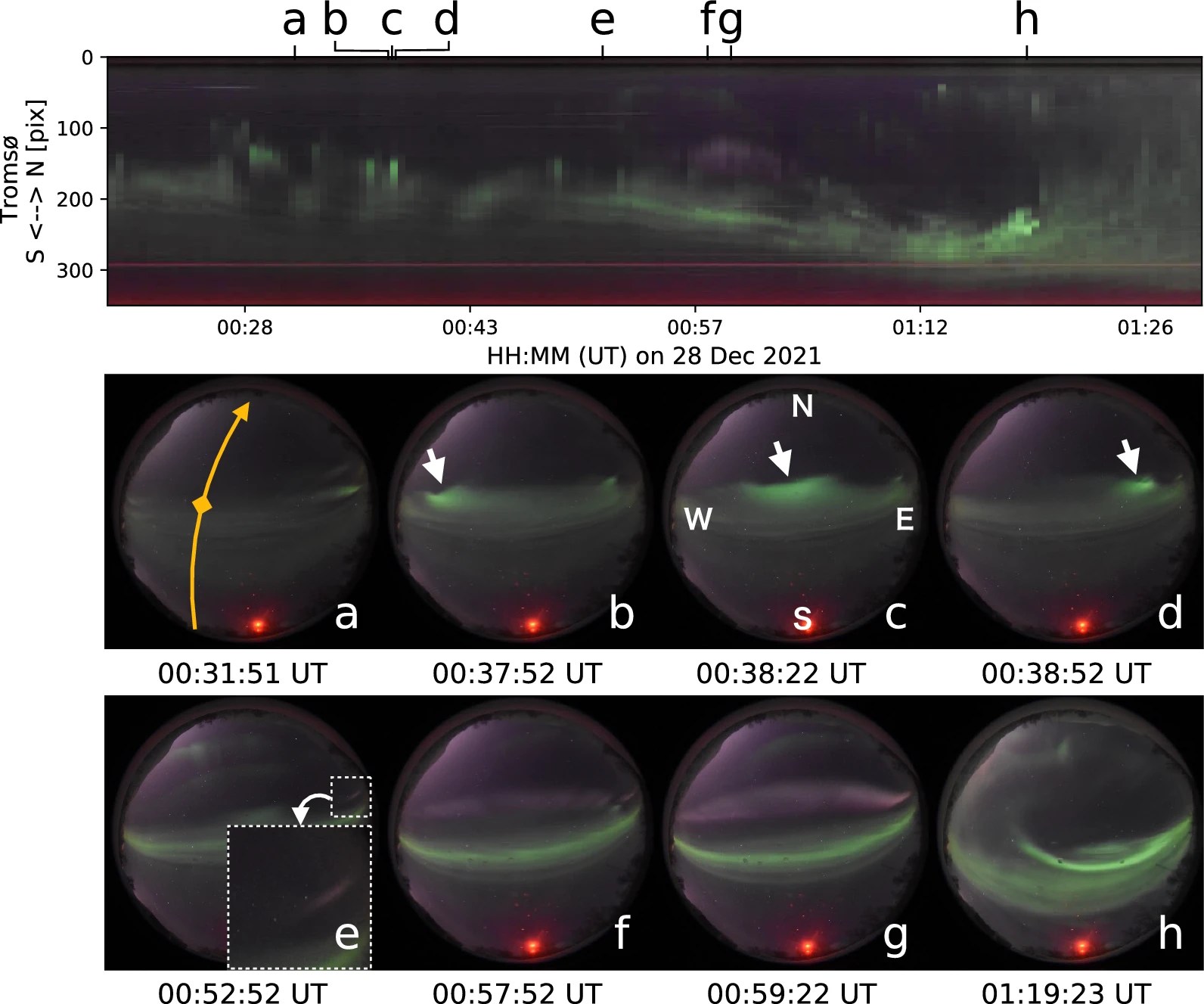 Have you seen Steve? Look up and you might spot the sky phenomenon ...