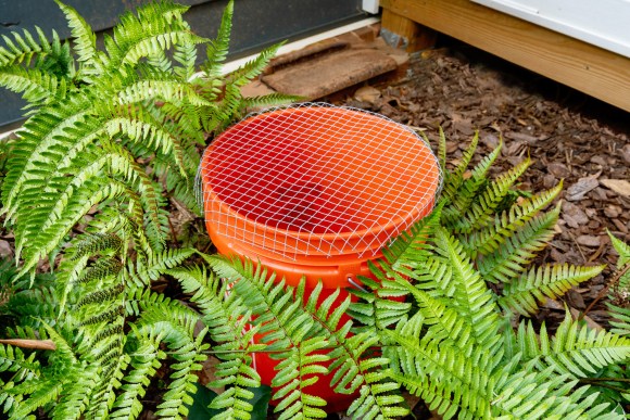 How to build a mosquito kill bucket | Popular Science