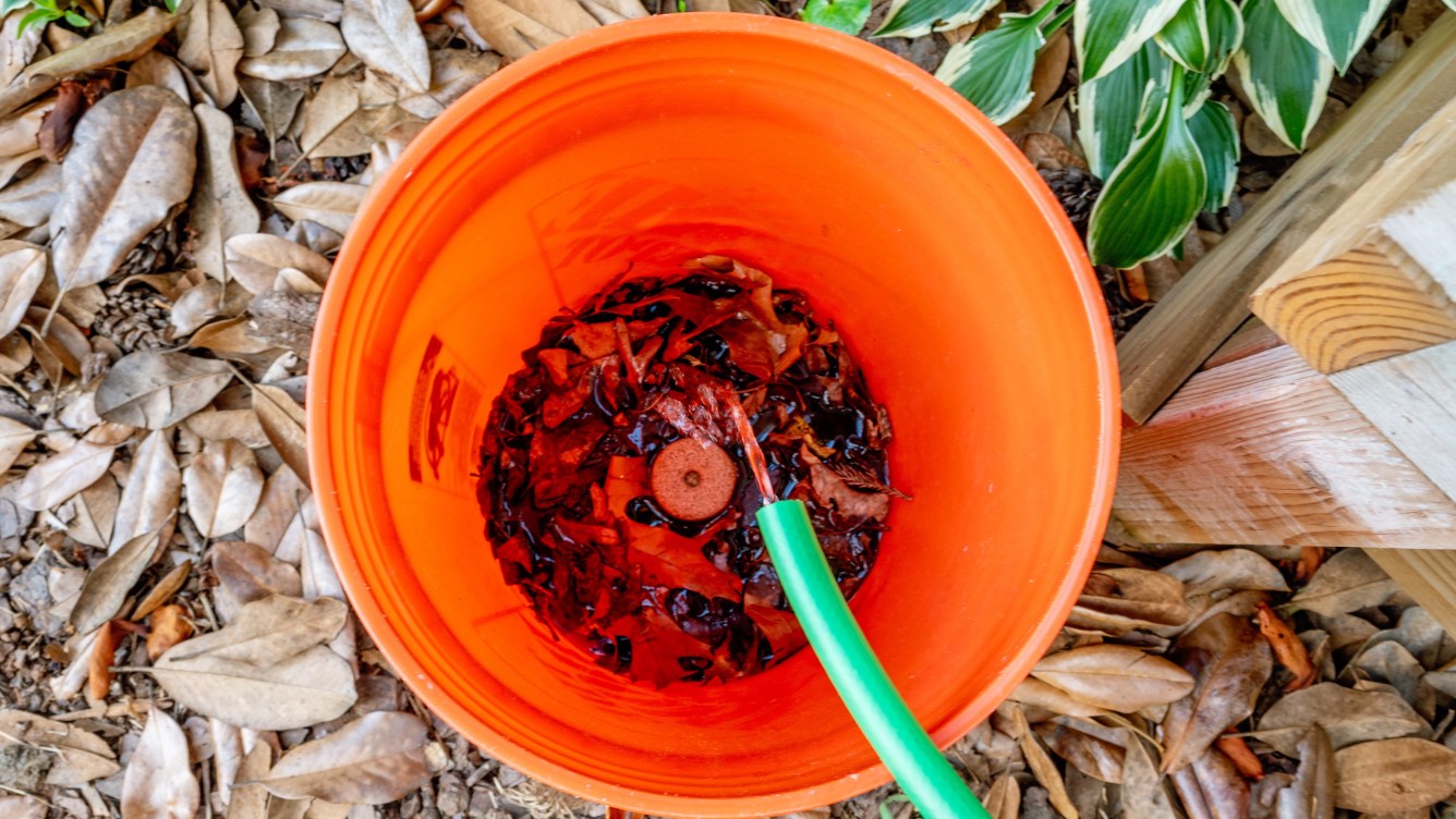 How to build a mosquito kill bucket | Popular Science