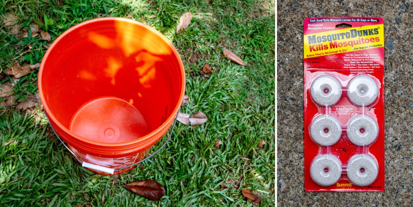 How to build a mosquito kill bucket | Popular Science