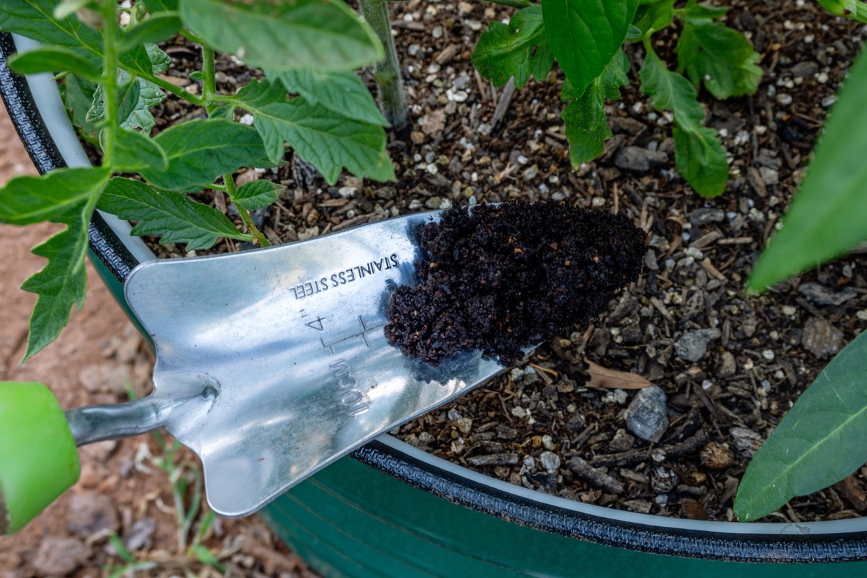 6 kitchen scraps to throw in your garden | Popular Science