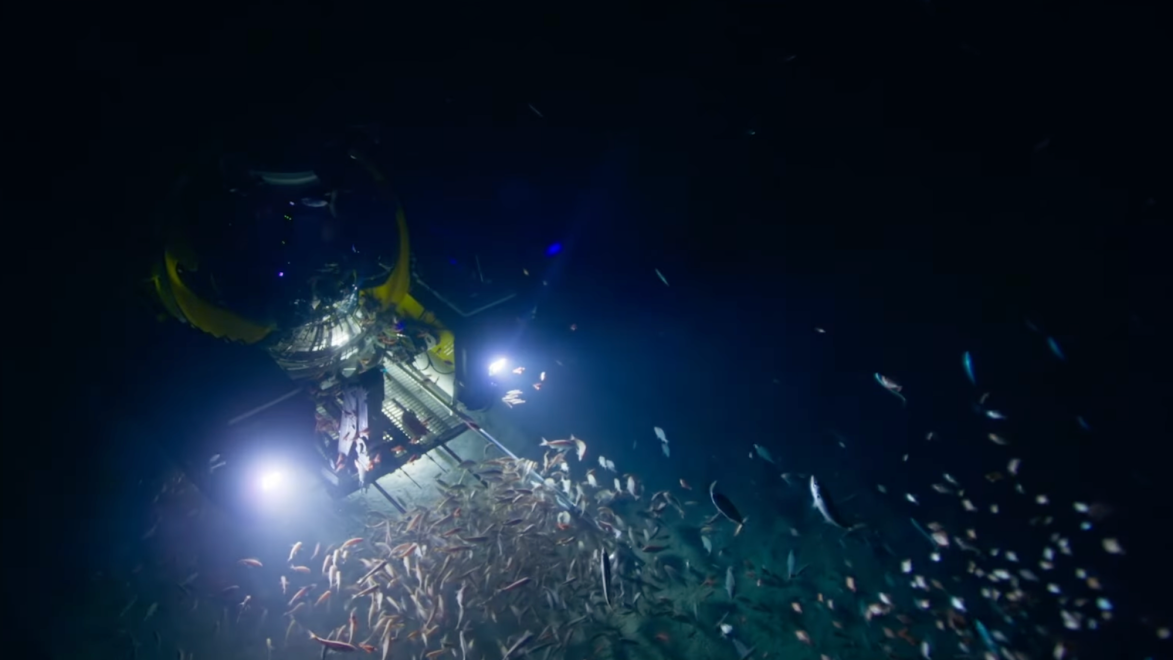 Ocean clean-up devices can also trap marine organisms | Popular Science