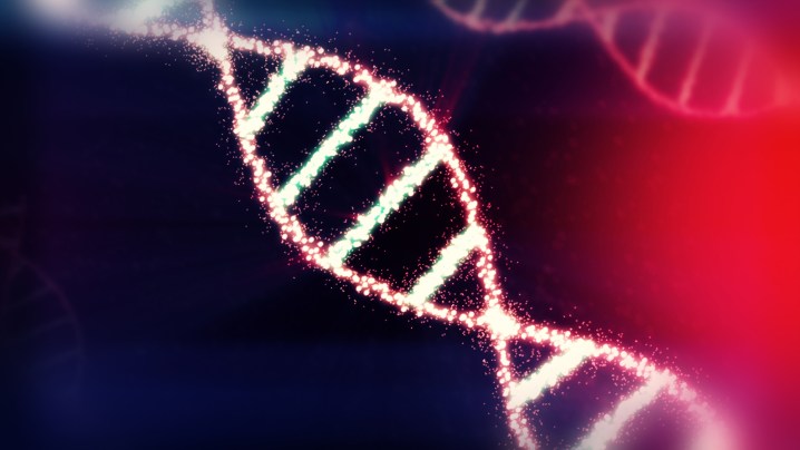 Early humans hooked up with other species a whole bunch