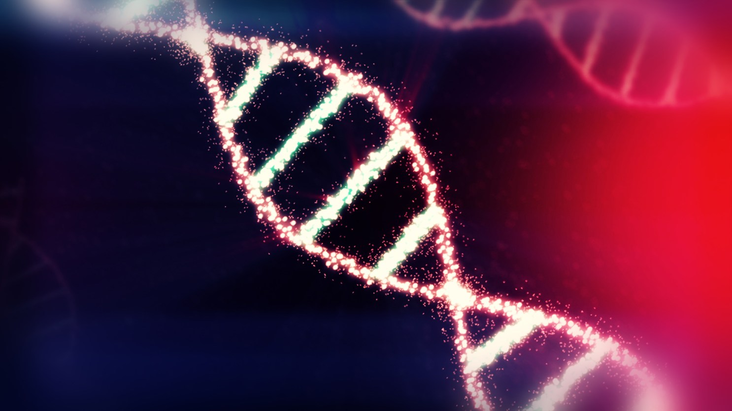 Yes, humans are still evolving | Popular Science