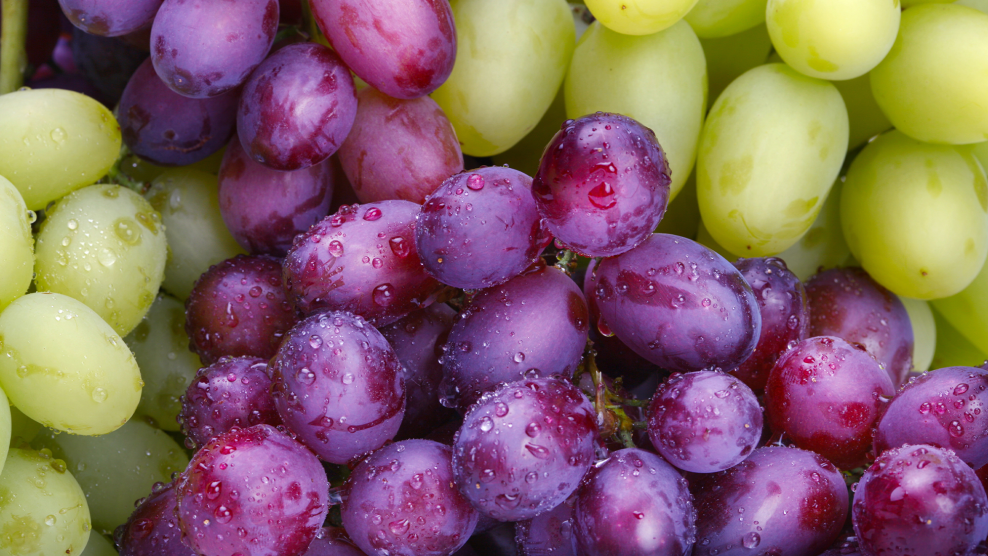 If dinosaurs hadn't gone extinct, we may not have delicious grapes ...