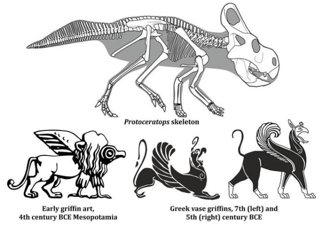 We’re (probably) wrong about origin of griffins | Popular Science